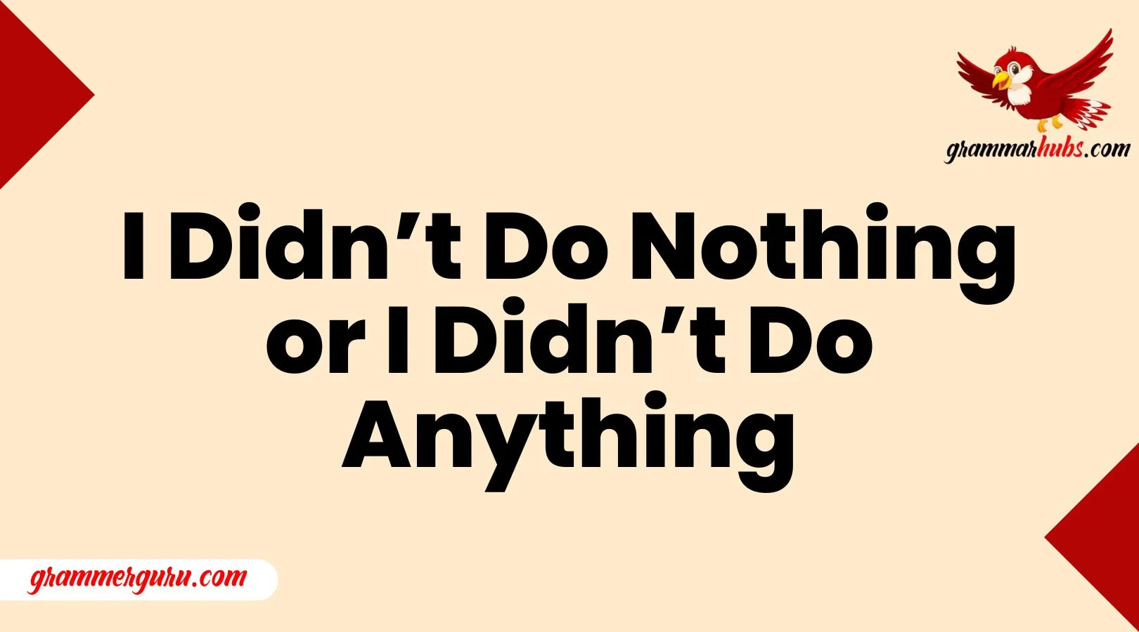 I Didn’t Do Nothing or I Didn’t Do Anything? Understanding Grammar, Slang,