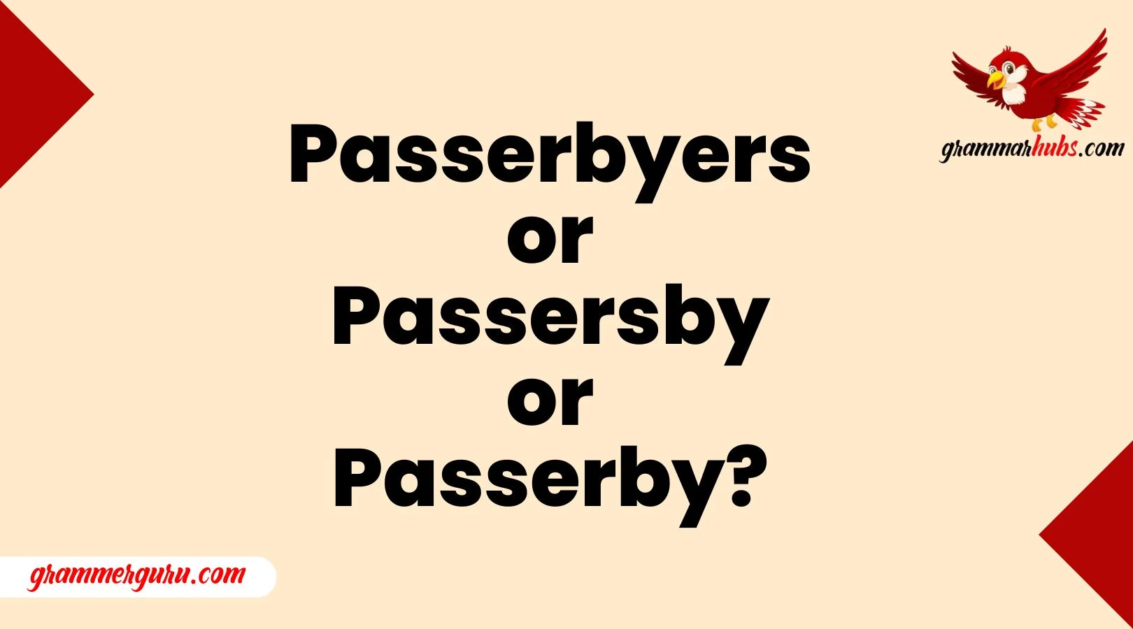 Passerbyers or Passersby or Passerby? Which One Is Correct?