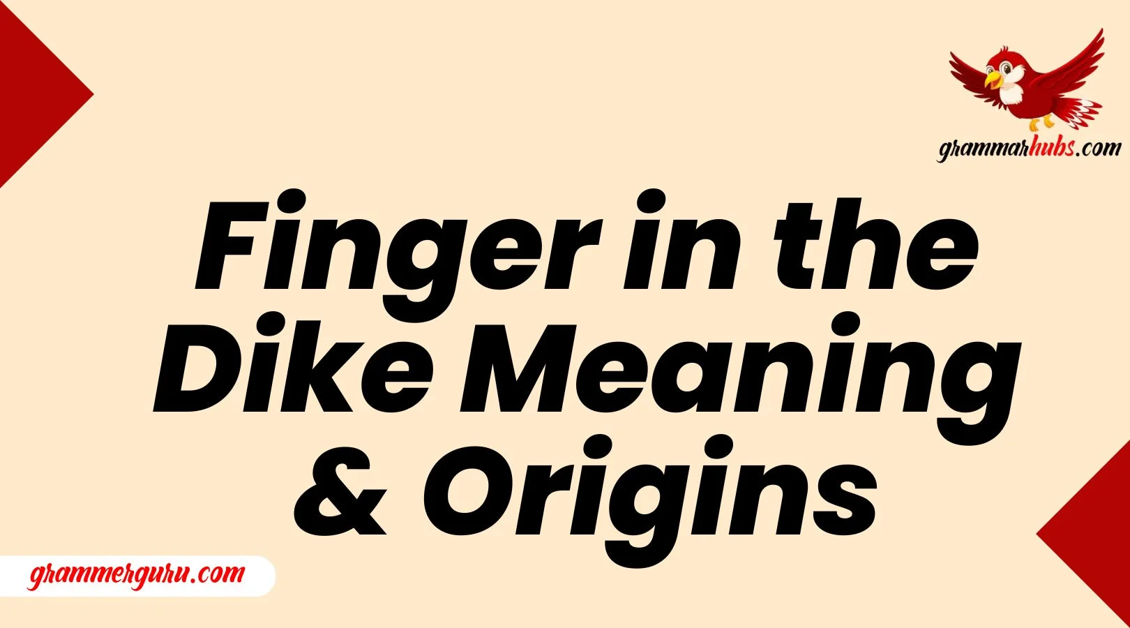 Finger in the Dike: Meaning & Origins