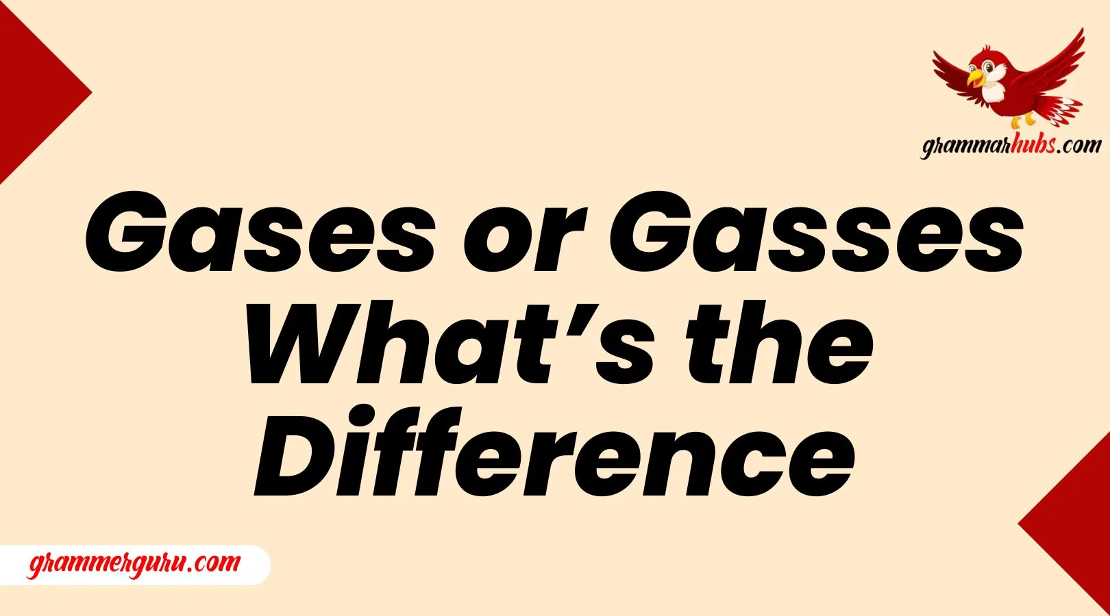 Gases or Gasses: What’s the Difference?
