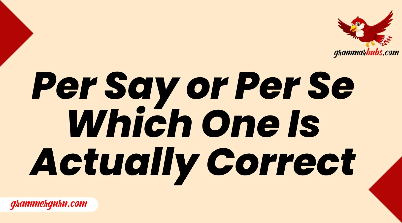 Per Say or Per Se? Which One Is Actually Correct?