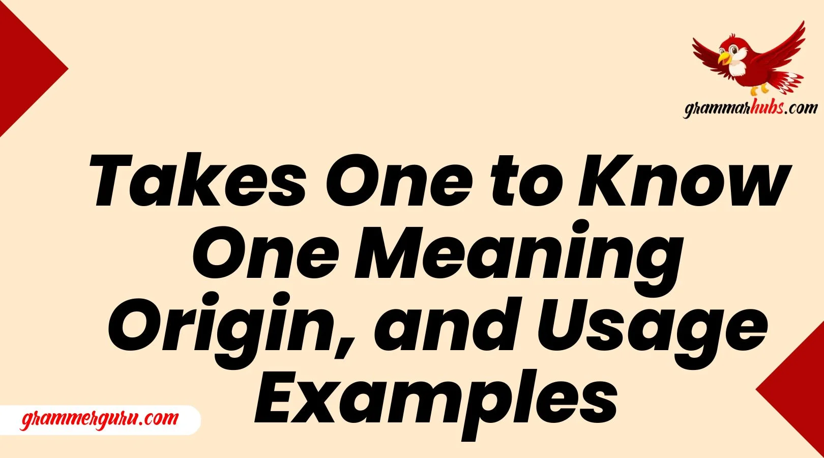 Takes One to Know One – Meaning, Origin, and Usage Examples