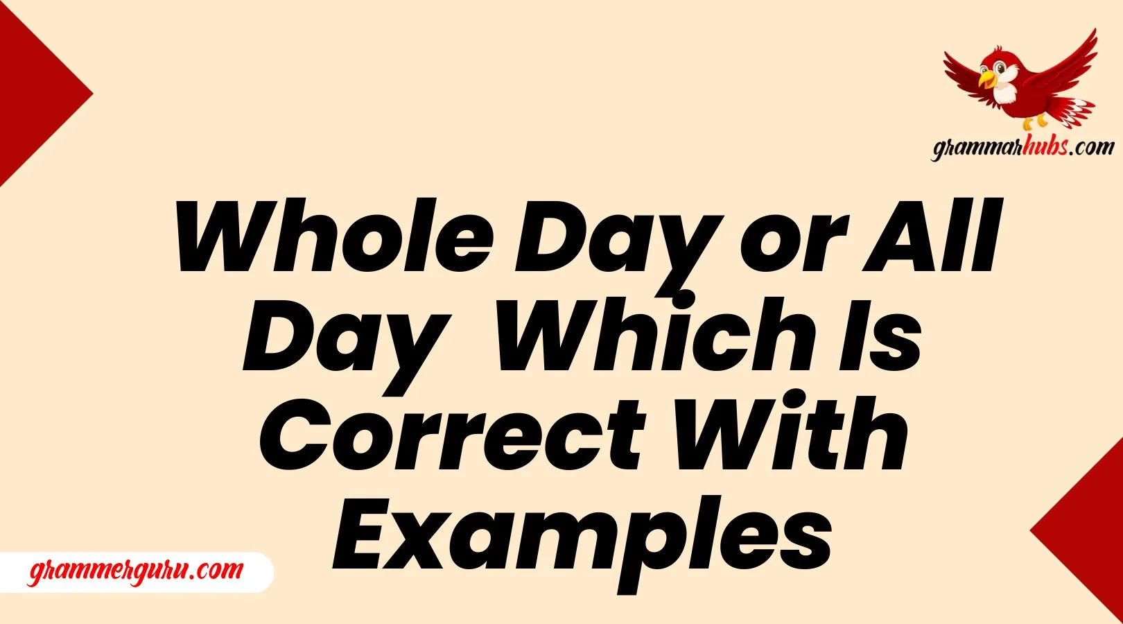 Whole Day or All Day – Which Is Correct? (With Examples)