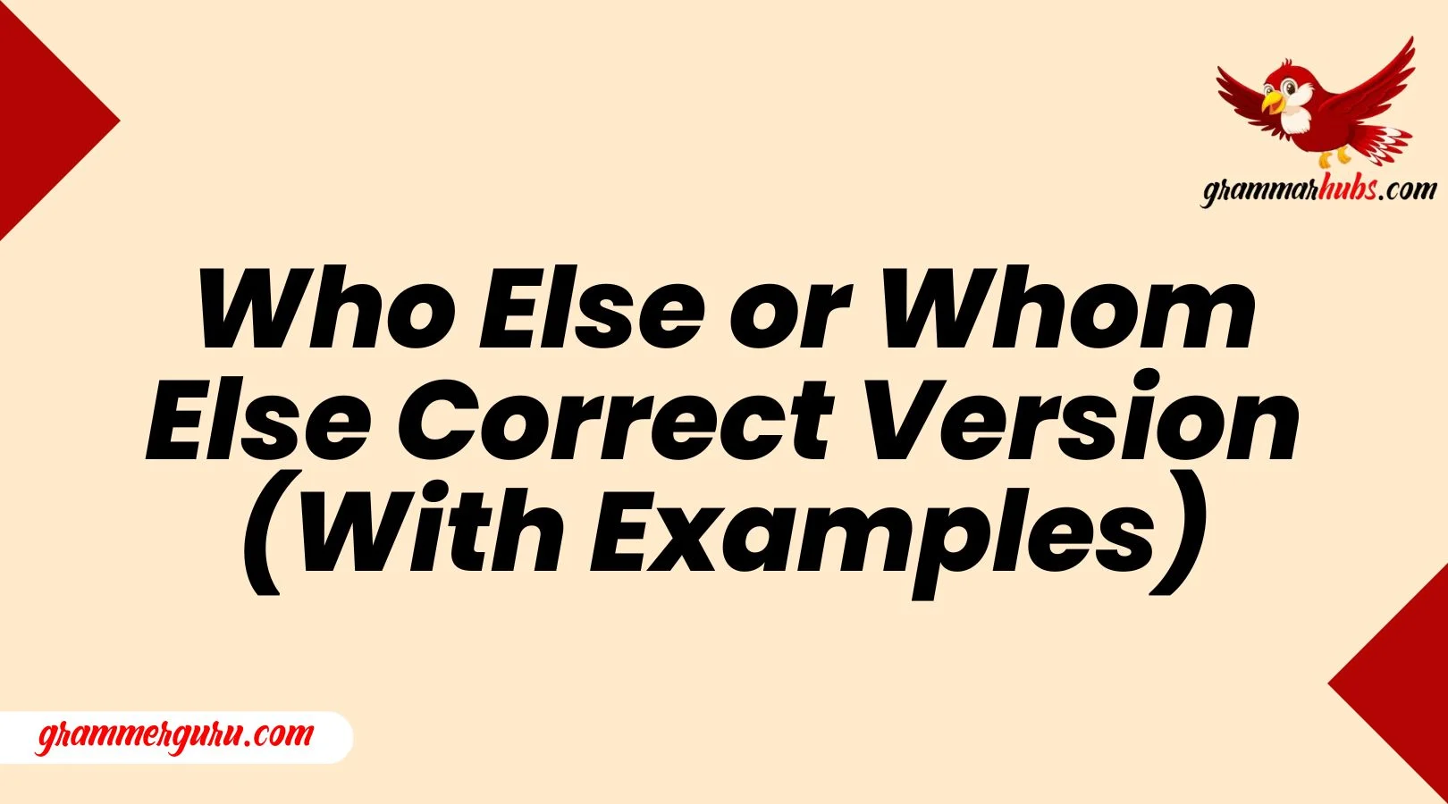 Who Else or Whom Else? Correct Version (With Examples)