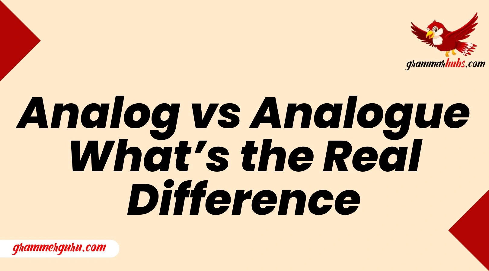 Analog vs. Analogue – What’s the Real Difference