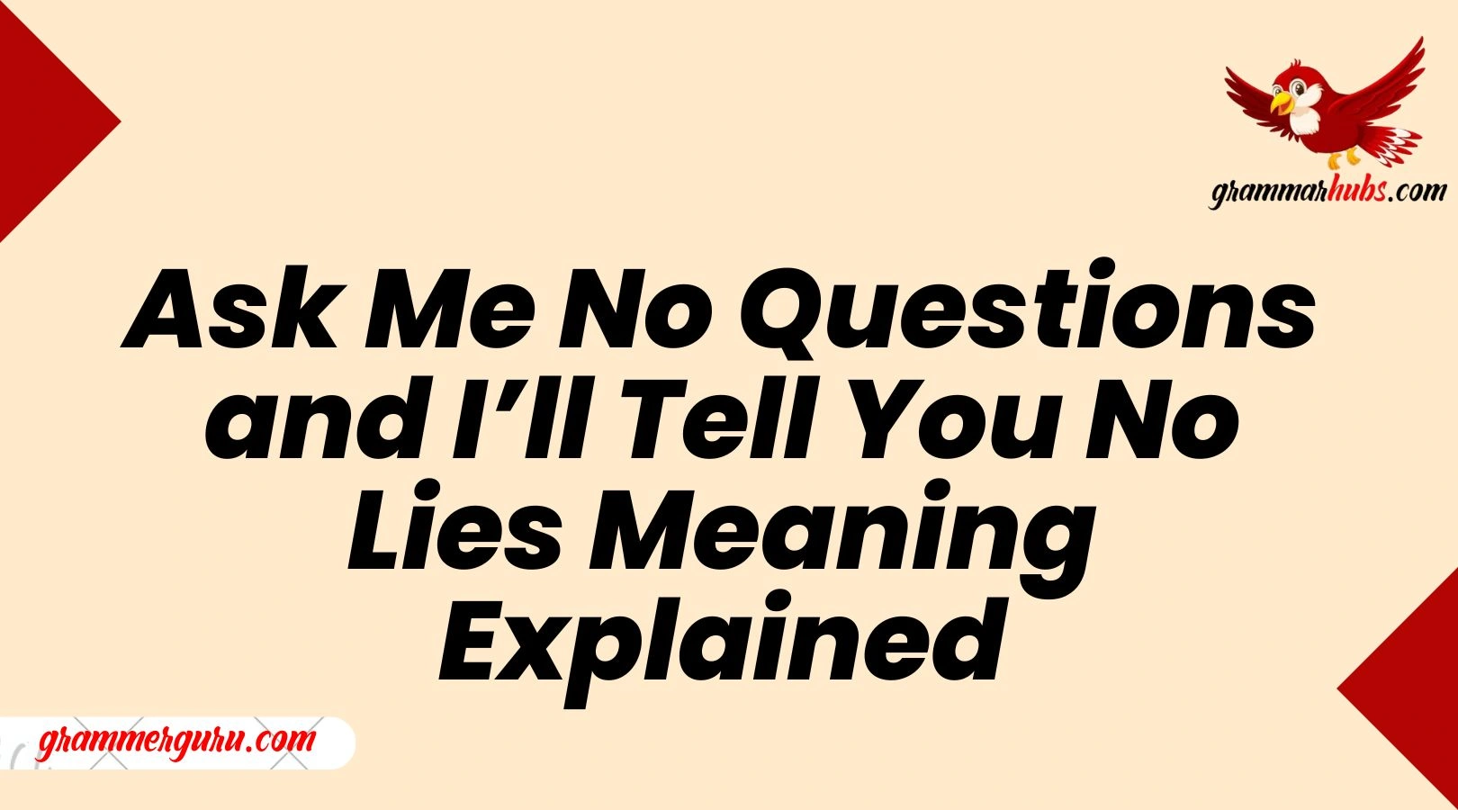 Ask Me No Questions and I’ll Tell You No Lies – Meaning Explained