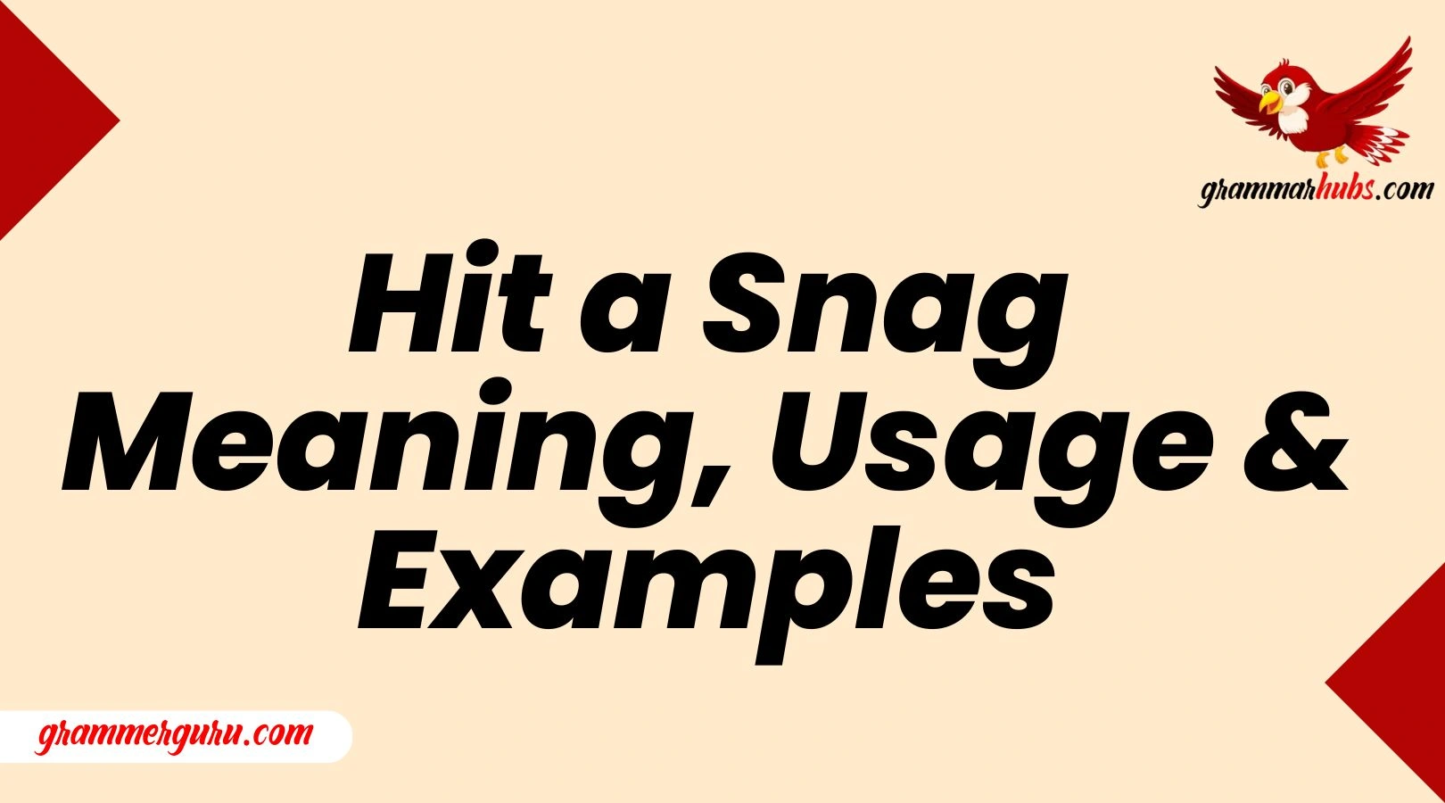 Hit a Snag – Meaning, Usage & Examples