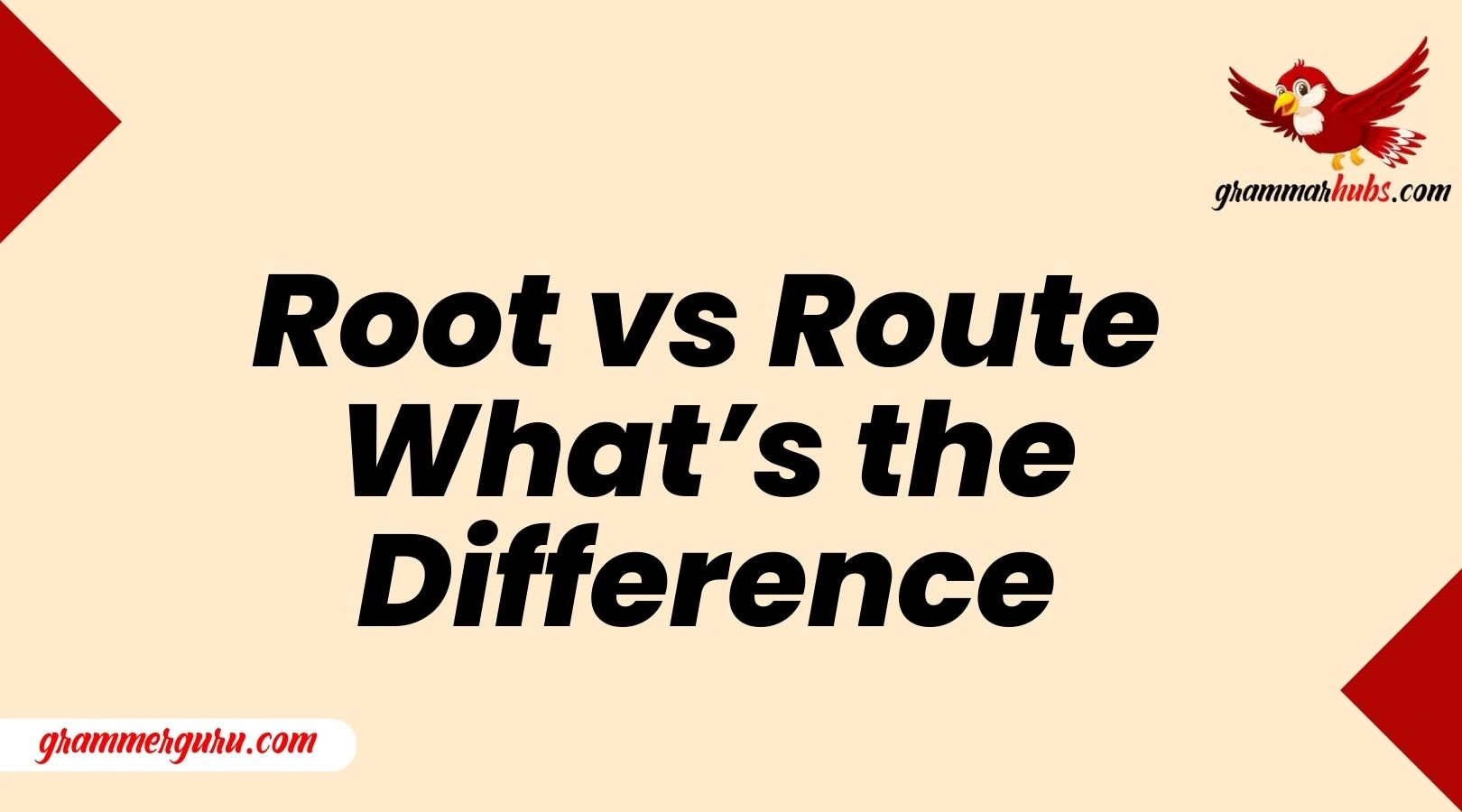 Root vs Route – What’s the Difference