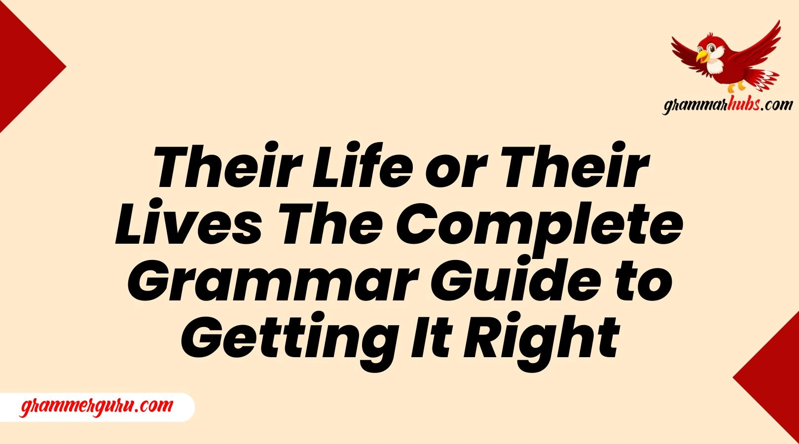 Their Life or Their Lives — The Complete Grammar Guide to Getting It Right