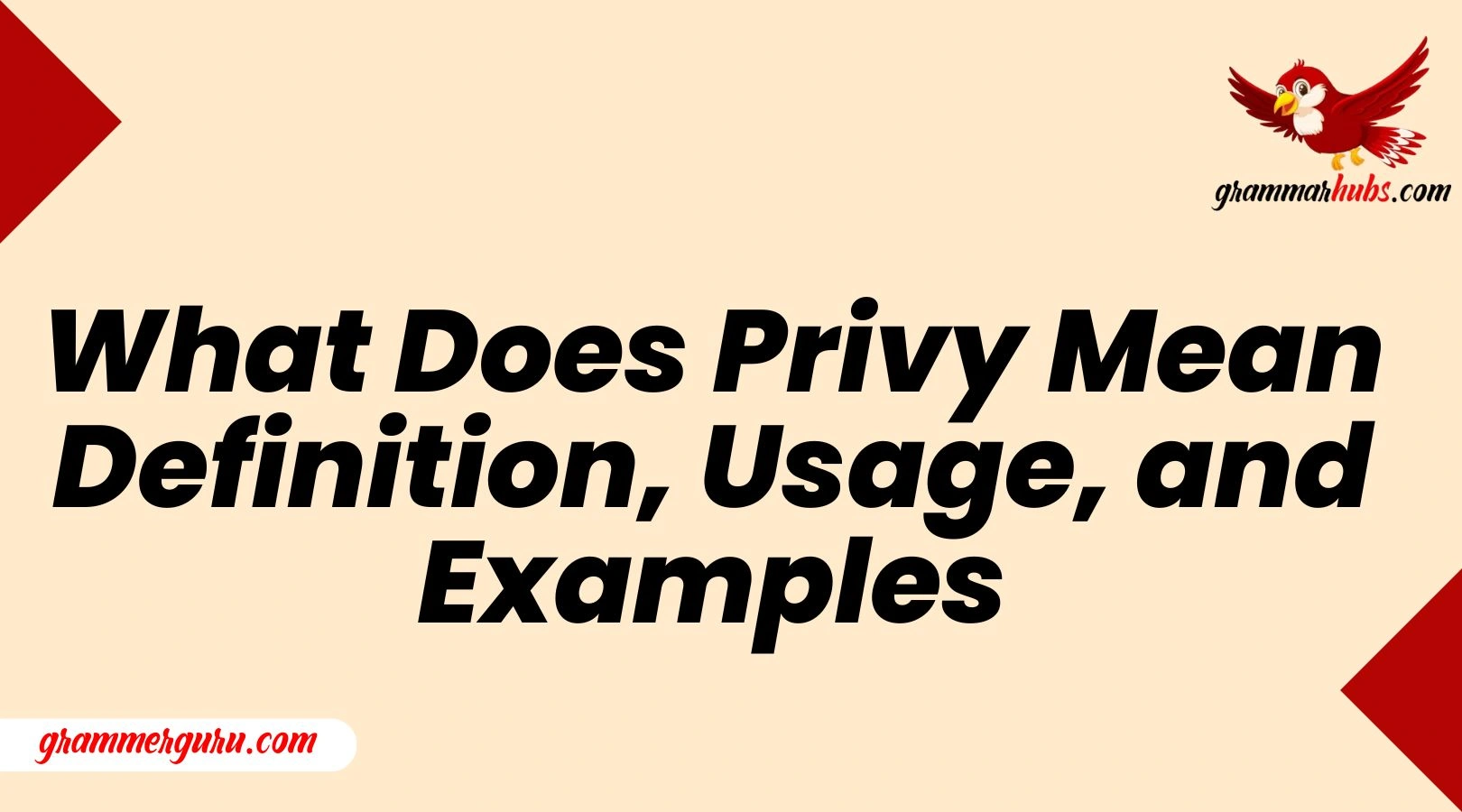 What Does Privy Mean? Definition, Usage, and Examples