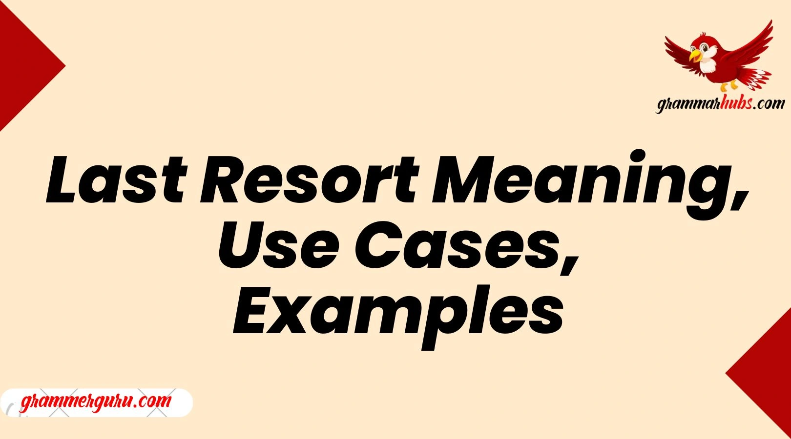 Last Resort – Meaning, Use Cases, Examples